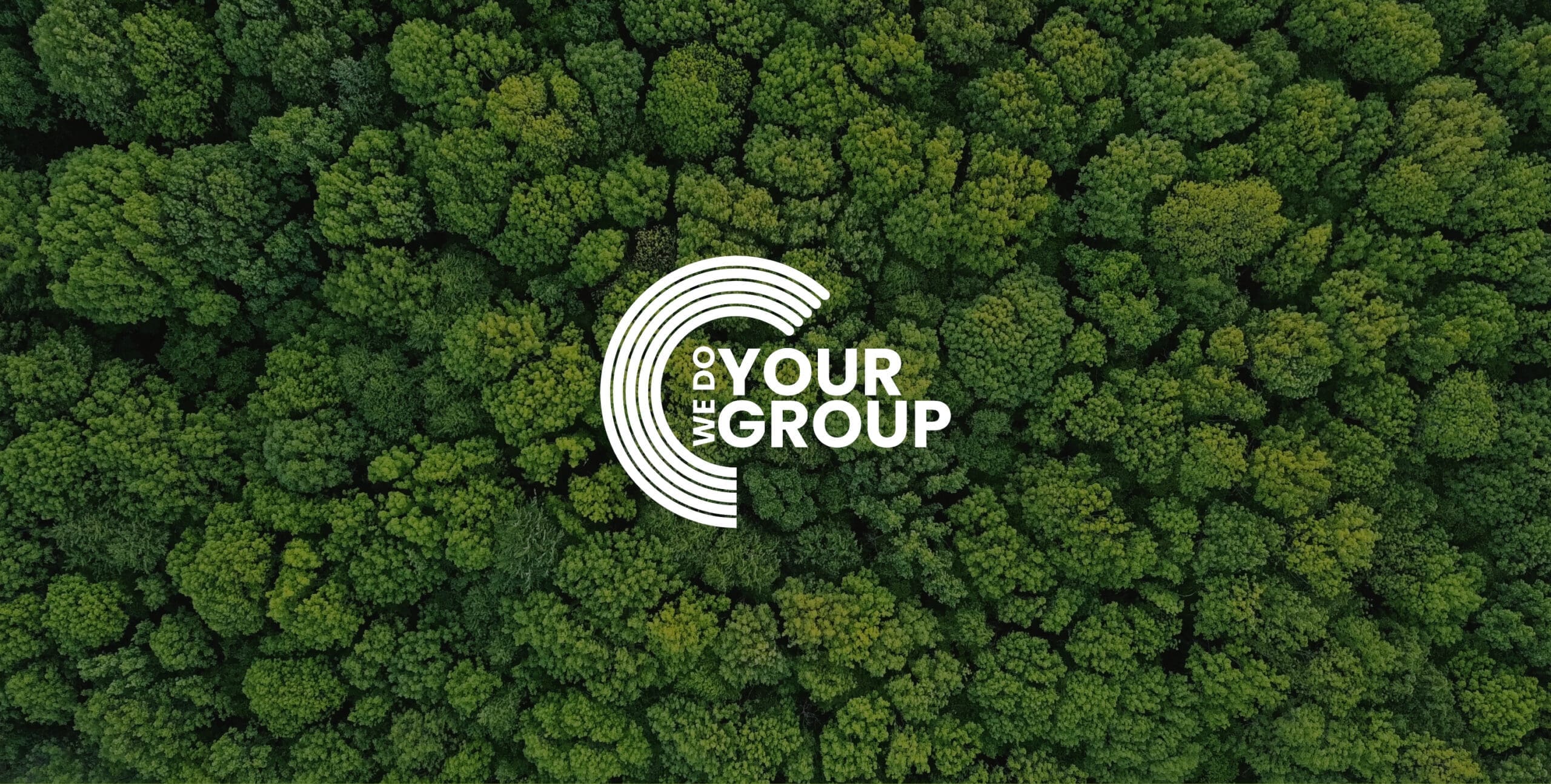 Ecosia's Green Revolution: Harnessing AI for Reforestation and a ...