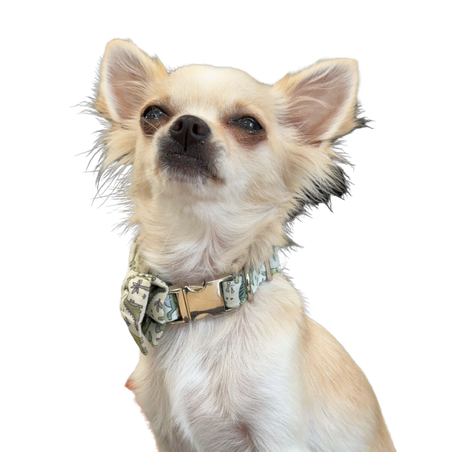 Poopy | We Do Your Group Limited